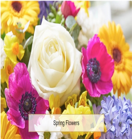 Nicola Florist - buy and send flowers, bouquets and arrangements online ...